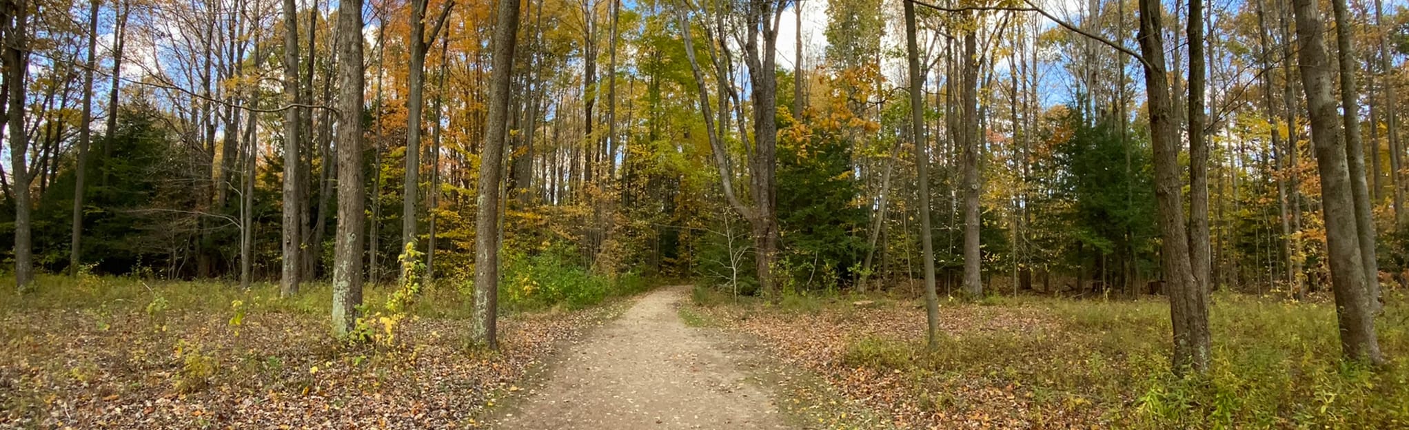 Beech Ridge Loop Trail and Wildcat Trail: 236 Reviews, Map - Ohio ...
