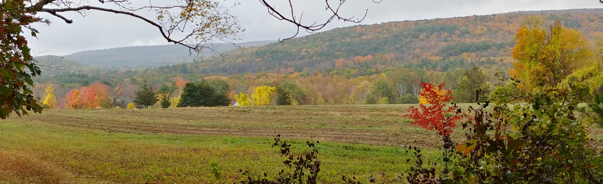 Laurel Loop and Refuge Orange Trail, Connecticut - 35 Reviews, Map ...