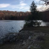 Berry Pond Trail, Massachusetts - 70 Reviews, Map | AllTrails