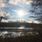 Berry Pond Trail, Massachusetts - 70 Reviews, Map | AllTrails