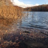 Berry Pond Trail, Massachusetts - 70 Reviews, Map | AllTrails