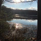 Berry Pond Trail, Massachusetts - 70 Reviews, Map | AllTrails