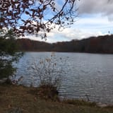 Berry Pond Trail, Massachusetts - 70 Reviews, Map | AllTrails