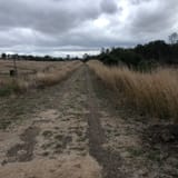 Kingaroy to Kilkivan Rail Trail, Queensland, Australia - 31 Reviews ...