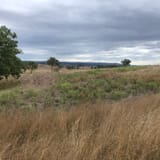 Kingaroy to Kilkivan Rail Trail, Queensland, Australia - 31 Reviews ...