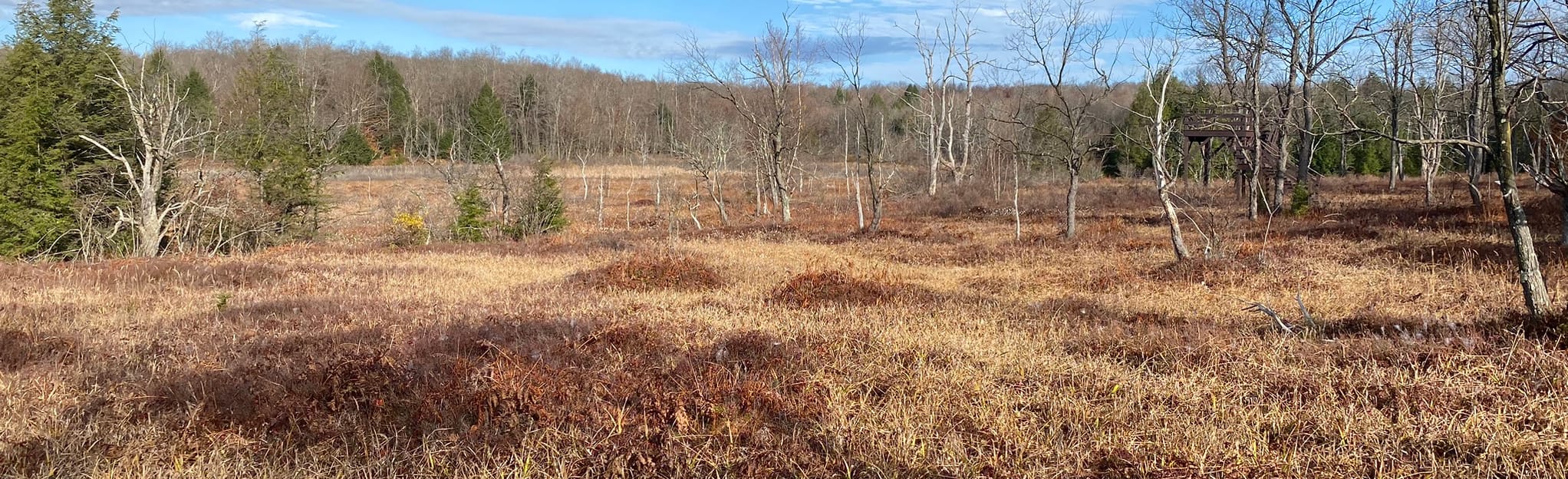 Wolf Rocks via Bog and Boulder Trail, Pennsylvania - 49 Reviews, Map ...