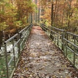 Cache River and Heron Pond State Natural Areas, Illinois - 142 Reviews ...