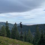 Badger Lake Trail, Oregon - 64 Reviews, Map | AllTrails