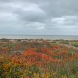 Kingsdown and Walmer Circular, Kent, England - 67 Reviews, Map | AllTrails