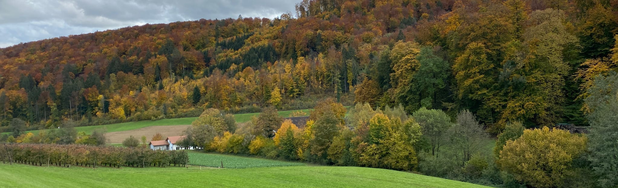 Rundwanderung - Frenkendorf - Bienenberg - Liestal: 11 Fotos - Basel ...