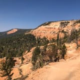 Virgin River Rim Trail, Utah - 132 Reviews, Map | AllTrails
