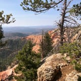 Virgin River Rim Trail, Utah - 132 Reviews, Map | AllTrails