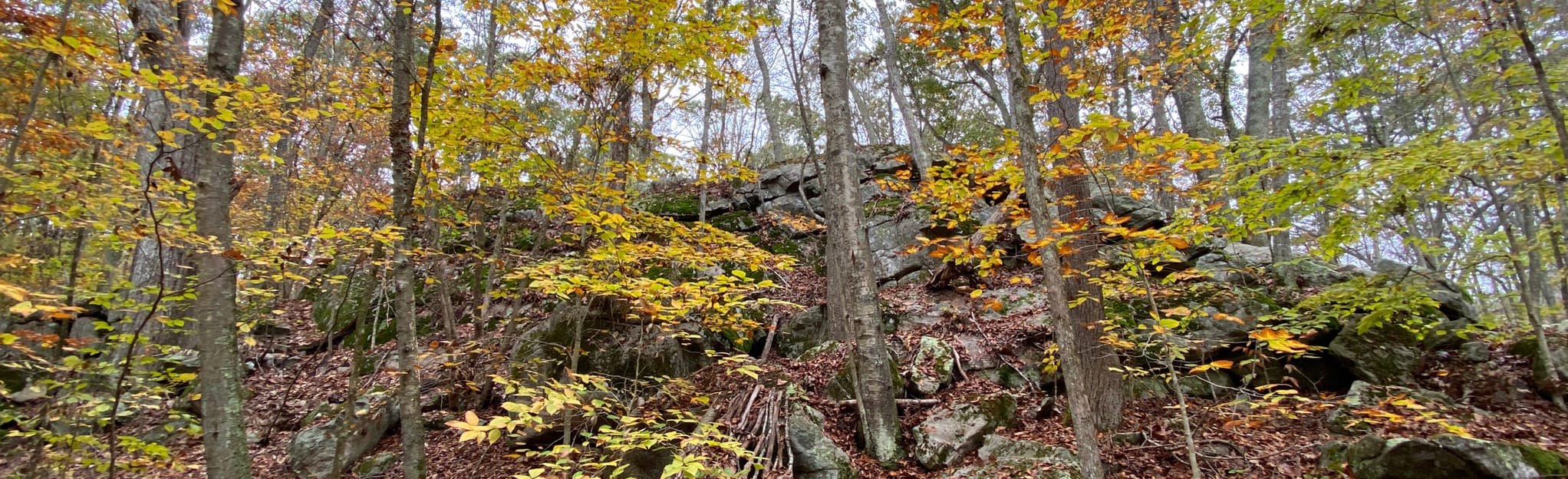 AllTrails | Avalonia Trail: 27 Reviews, Map - Connecticut