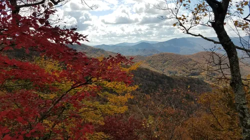 10 Best Trails and Hikes in Black Mountain | AllTrails