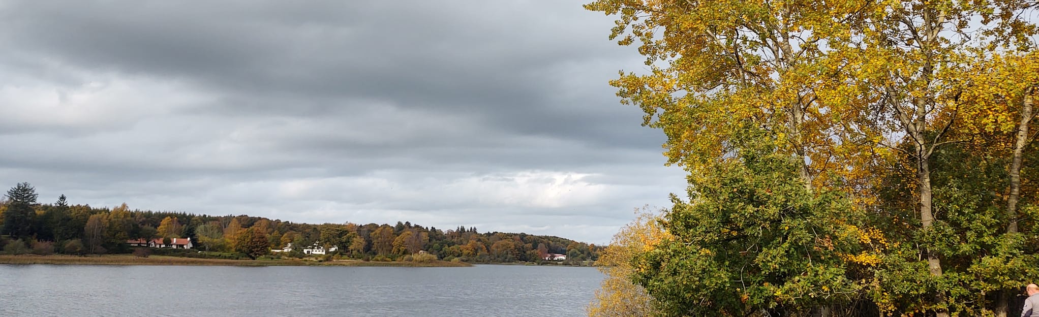 Ferup Sø - Stallerup Sø - Region of Southern Denmark, Denmark | AllTrails
