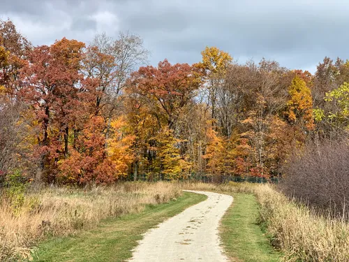10 Best Easy Trails in Racine | AllTrails