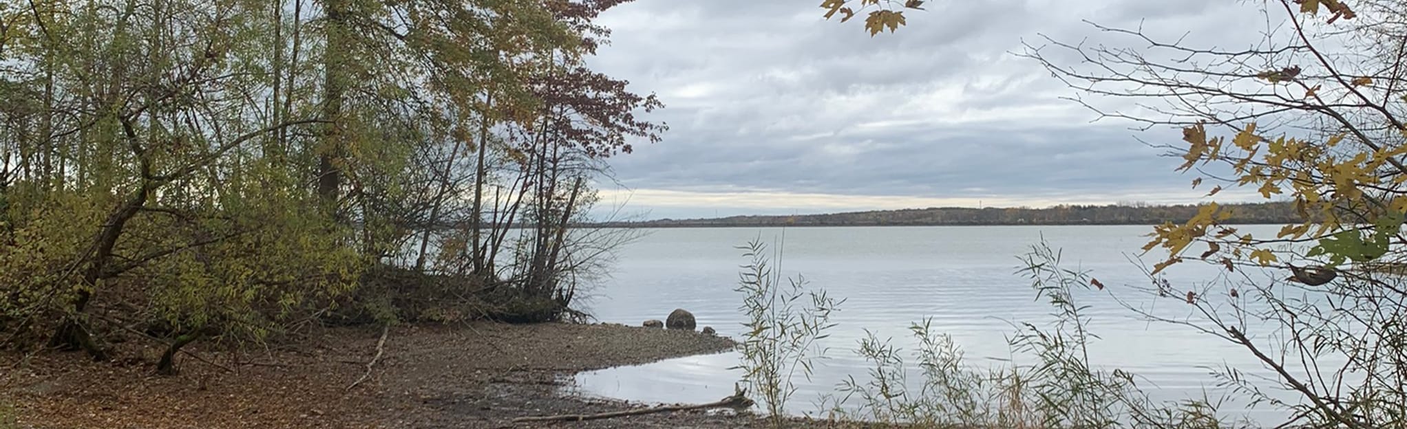 Alum Creek Equestrian and Hiking Trail, Ohio - 230 Reviews, Map | AllTrails