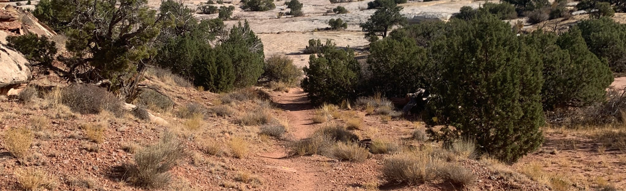 Dinosaur Stomping Ground Trail - Utah | AllTrails