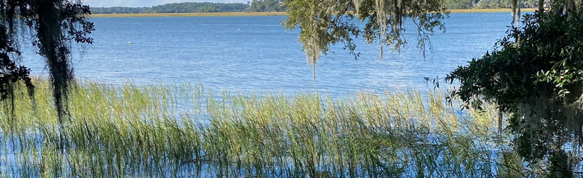 Jay Wolf Nature Trail: 16 Reviews, Map - Georgia | AllTrails