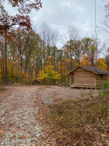 Best 10 Hikes and Trails in Yellowwood State Forest | AllTrails