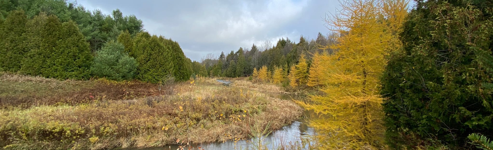 Upper Credit Conservation Area: 248 Reviews, Map - Ontario, Canada ...