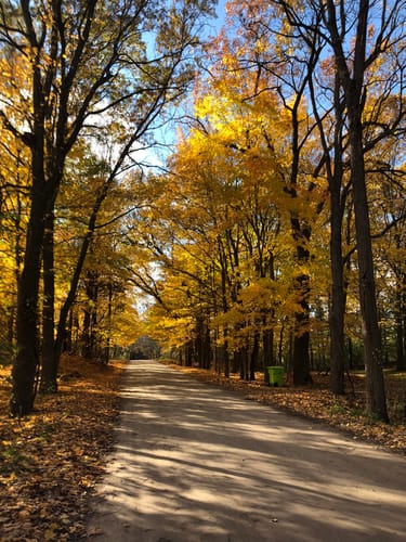 Best Hikes and Trails in Stinchfield Woods | AllTrails