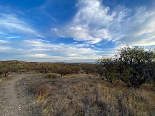 Best 10 Hikes and Trails in Oracle State Park | AllTrails