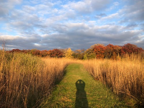 Best Hikes and Trails in Hampshire Forest Preserve | AllTrails