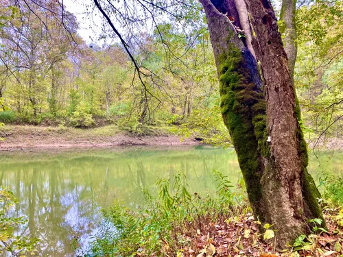 Best Horseback Riding Trails in Mammoth Cave National Park | AllTrails