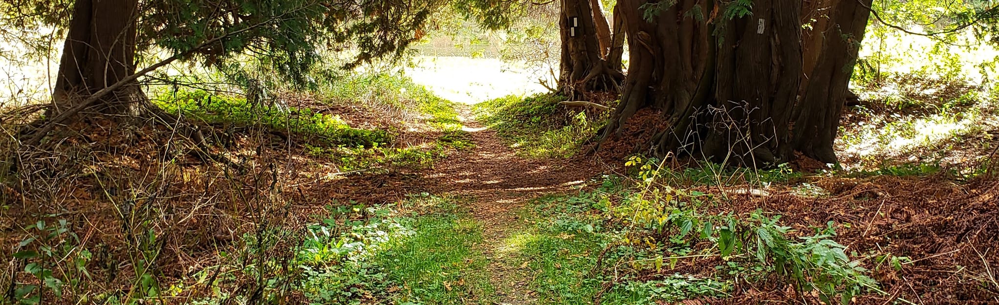 Grand Valley Trail: West Montrose to Middlebrook Road, Ontario, Canada ...