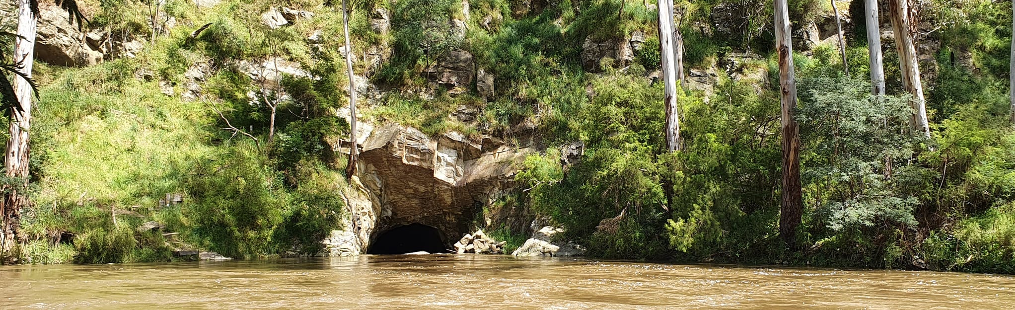 Yarra River Walk, Victoria, Australia - 9 Reviews, Map | AllTrails