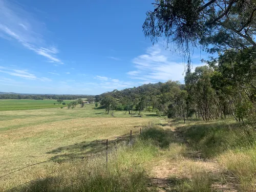 Best Hikes and Trails in Warby Ranges State Park | AllTrails