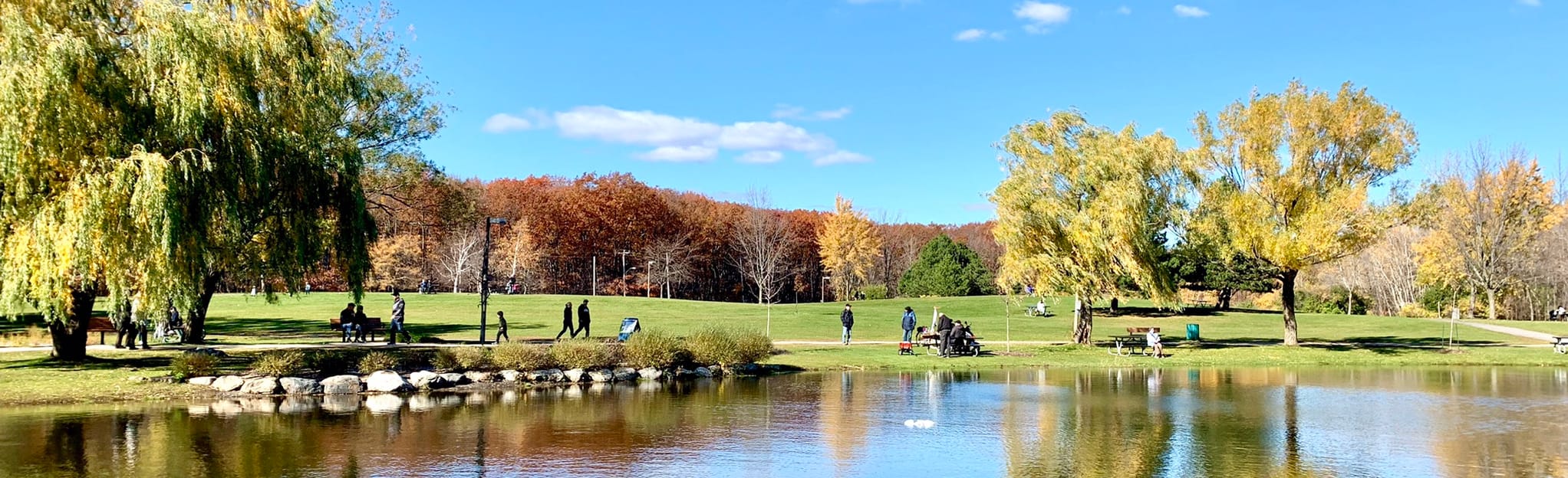 Michel Chartrand Park: 305 Reviews, Map - Quebec, Canada | AllTrails