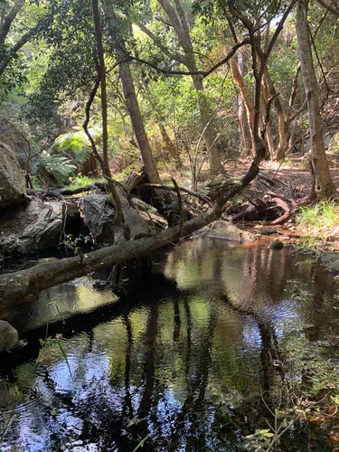 10 Best Trails and Hikes in Rustenburg | AllTrails