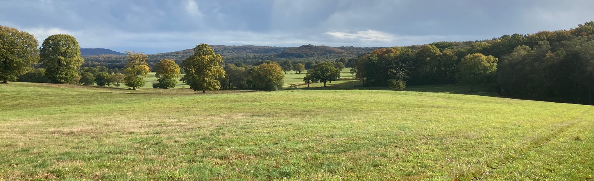 Liss and Milland, Hampshire, England - 27 Reviews, Map | AllTrails