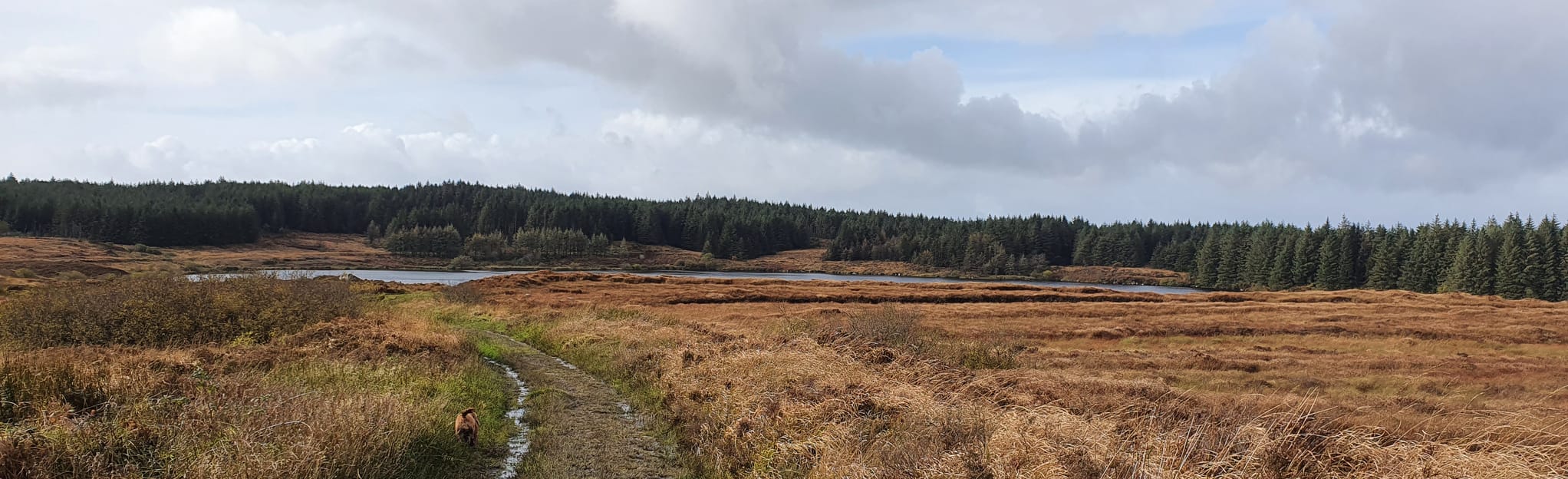 Tulla to Lough Ea, County Clare, Ireland - Map, Guide | AllTrails