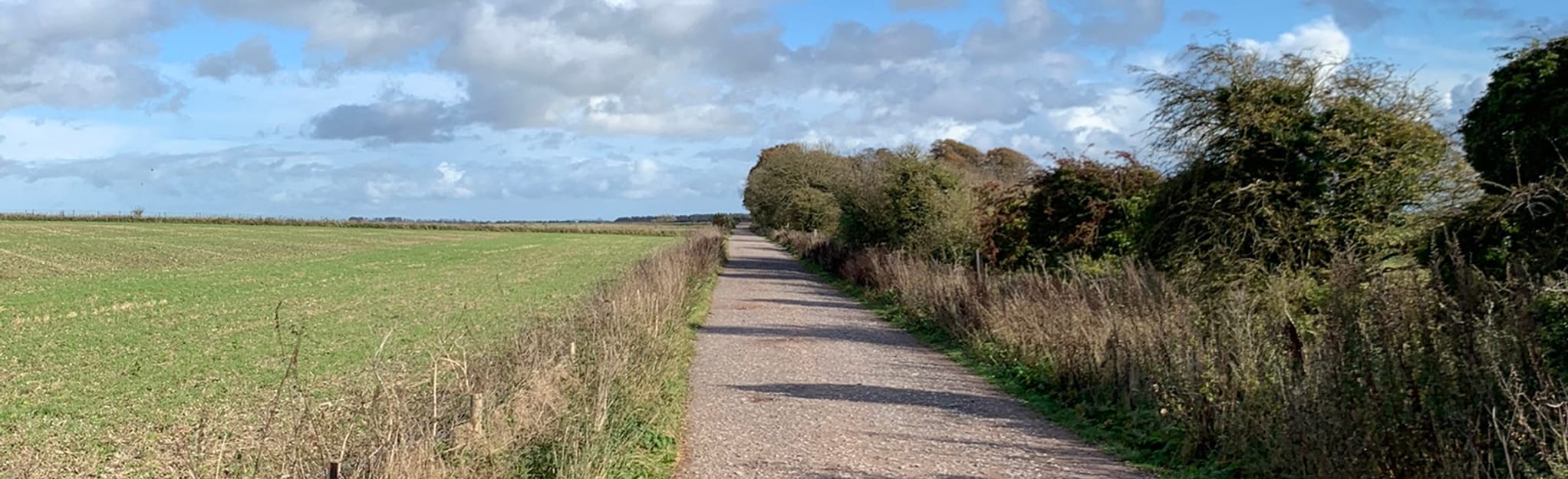 Westbury and Edington Circular, Wiltshire, England - 5 Reviews, Map ...