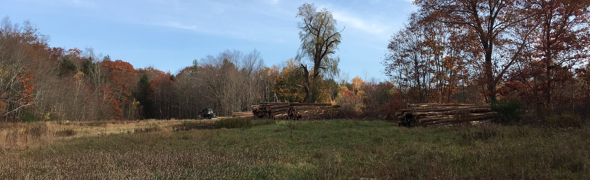 Tully Mountain Loop Trail, Massachusetts - 397 Reviews, Map | AllTrails