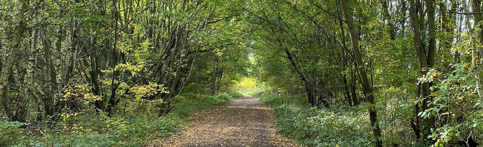 Mersey Vale Nature Park: 71 Reviews, Map - Greater Manchester, England ...