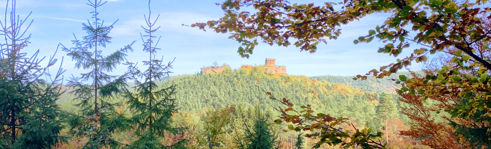 Busenberg Clog Trail, Rhineland-Palatine, Germany - 14 Reviews, Map ...