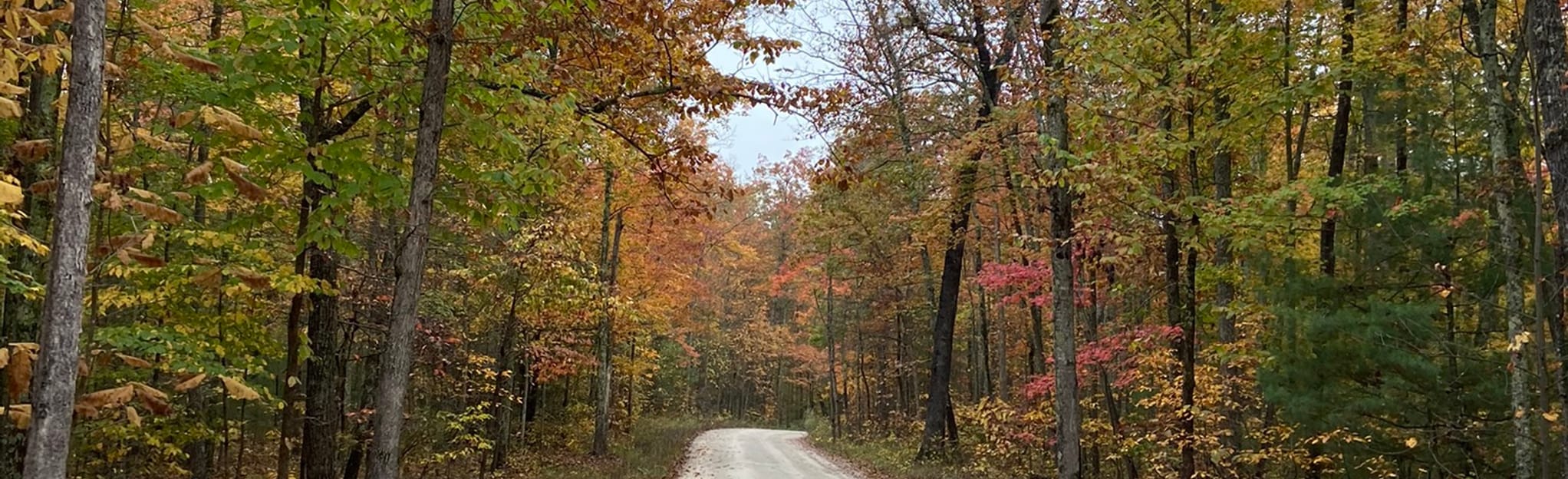 Tunnel Ridge Road, 188 Photos - Kentucky | AllTrails