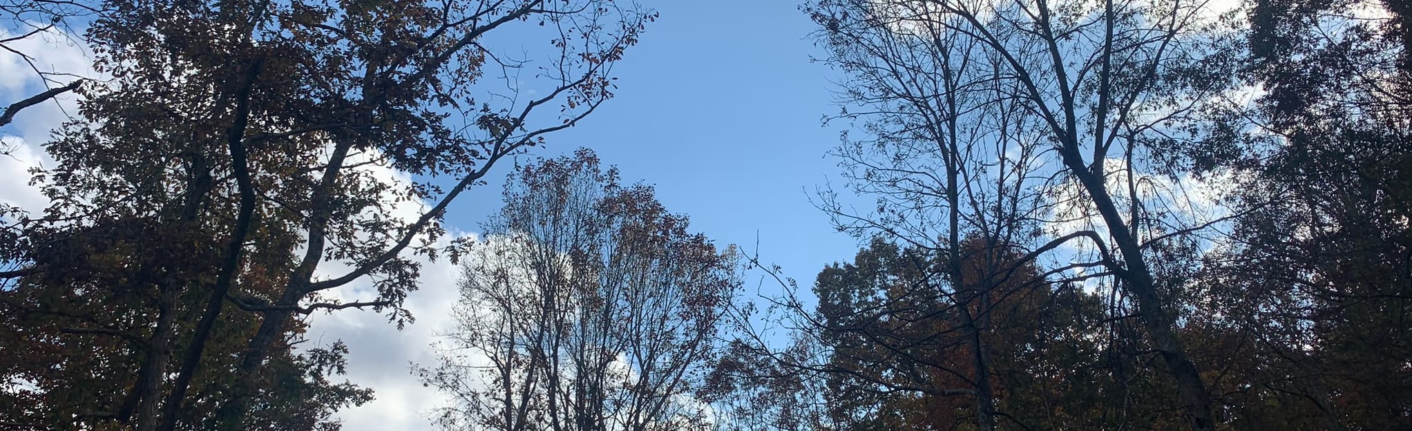 Shawnee Backpackers Trail: Backpack Trailhead to Camp 7, Ohio - 156 ...