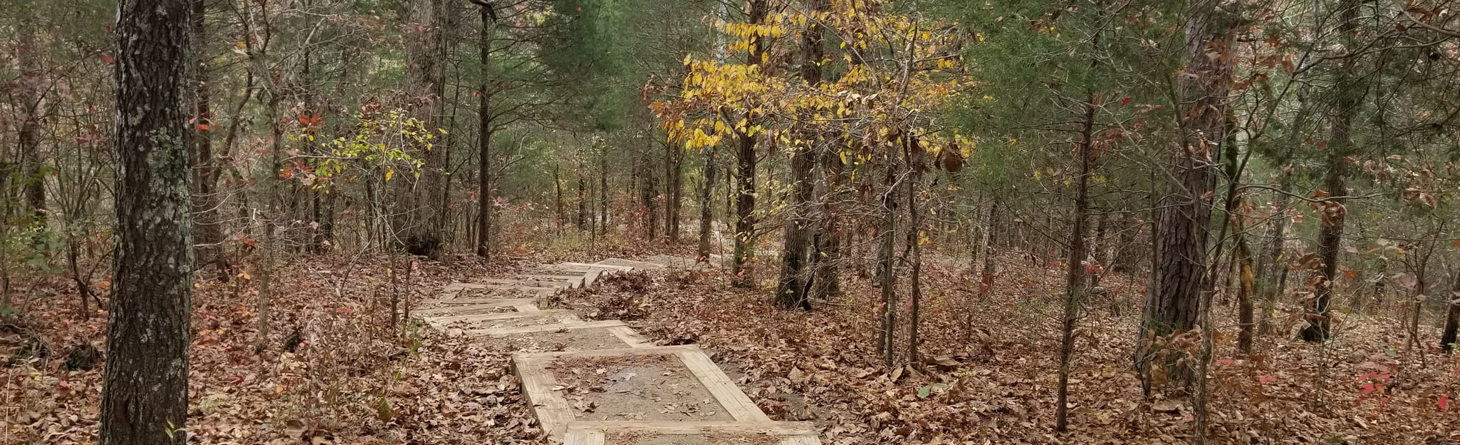 Bell Smith Springs White Trail Loop, Illinois - 214 Reviews, Map ...