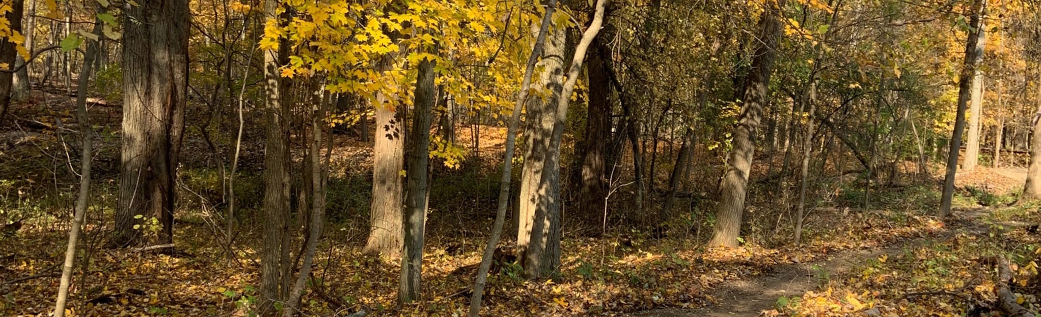 Thumb Loop, Red-Tail Loop, and Hetisch Loop: 72 Reviews, Map - Michigan ...