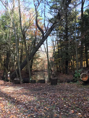 Best Hikes and Trails in Two Rivers | AllTrails