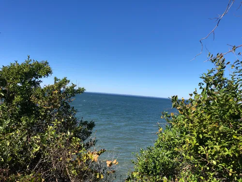 Best Hikes and Trails in Peconic Dunes County Park | AllTrails