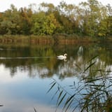 Bedfont Lakes Country Park Circular, Surrey, England - 32 Reviews, Map ...