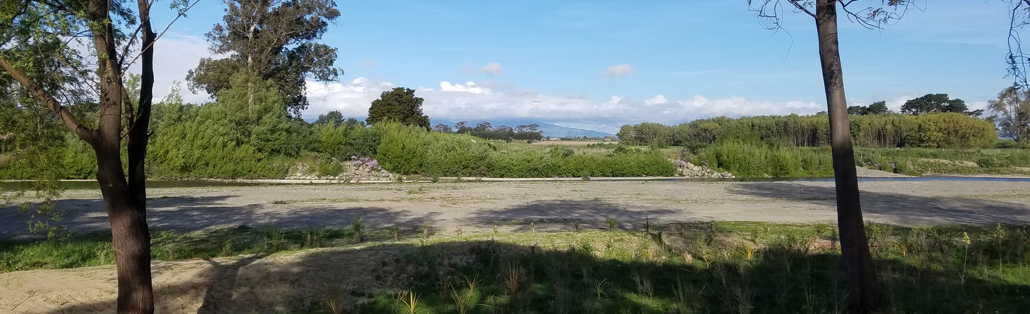 Timona Park Pathway, Manawatū-Whanganui, New Zealand - 12 Reviews, Map | AllTrails