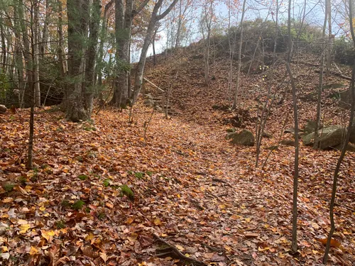 10 Best Trails and Hikes in Banner Elk | AllTrails