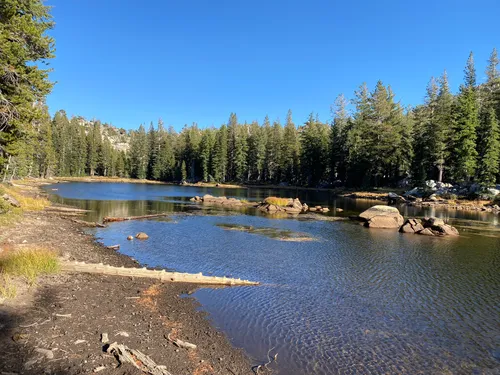 10 Best Hikes and Trails in Carson-Iceberg Wilderness | AllTrails